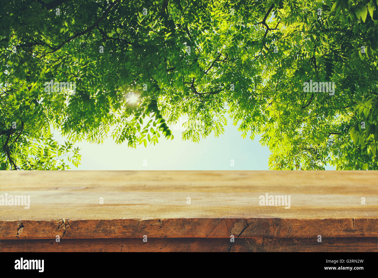 front rustic wood boards and abstract trees background. vintage ...