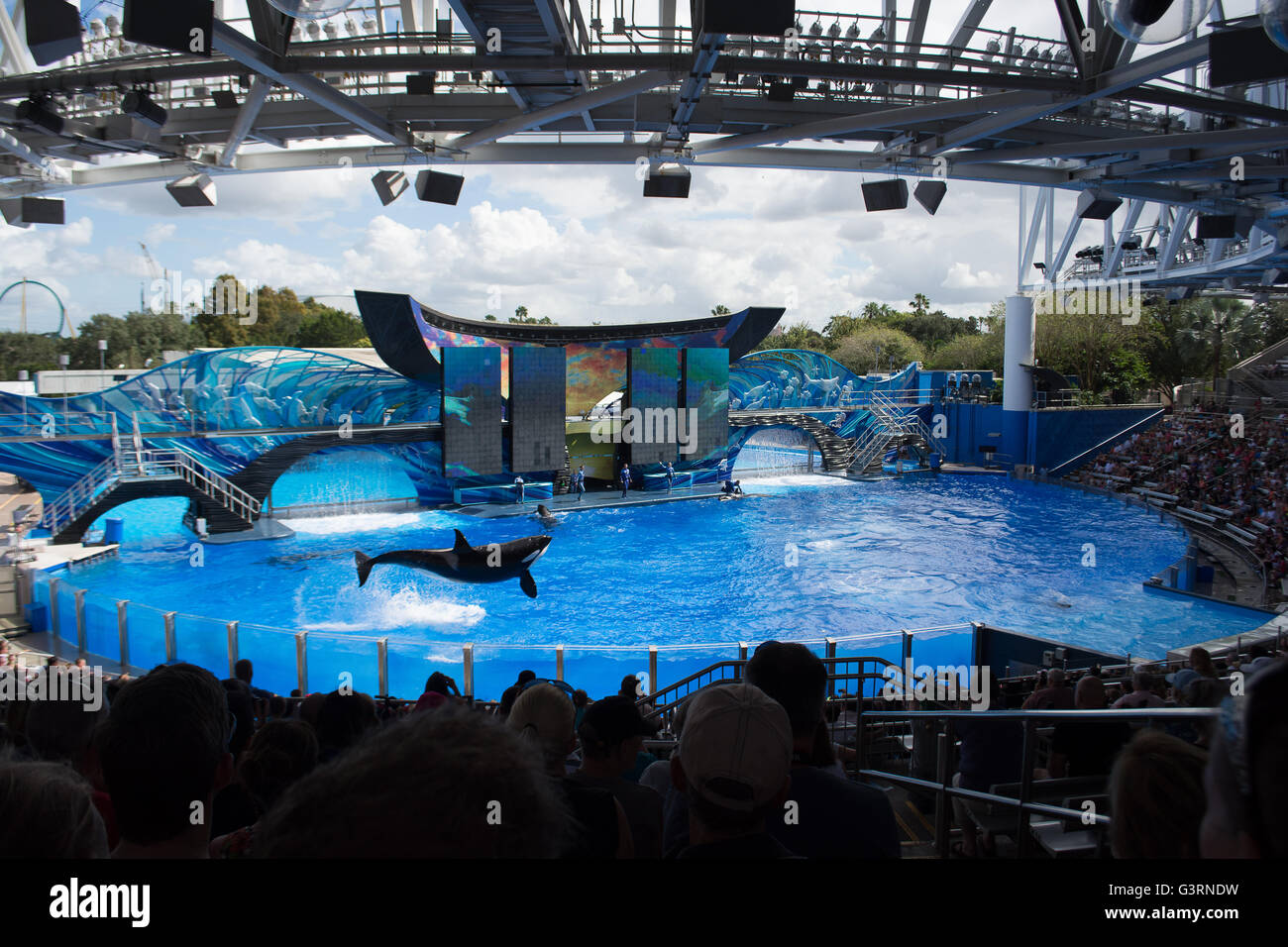 Sea world Orlando Florida Stock Photo - Alamy