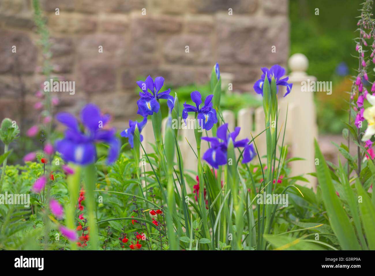 Welsh cottage hi-res stock photography and images - Alamy