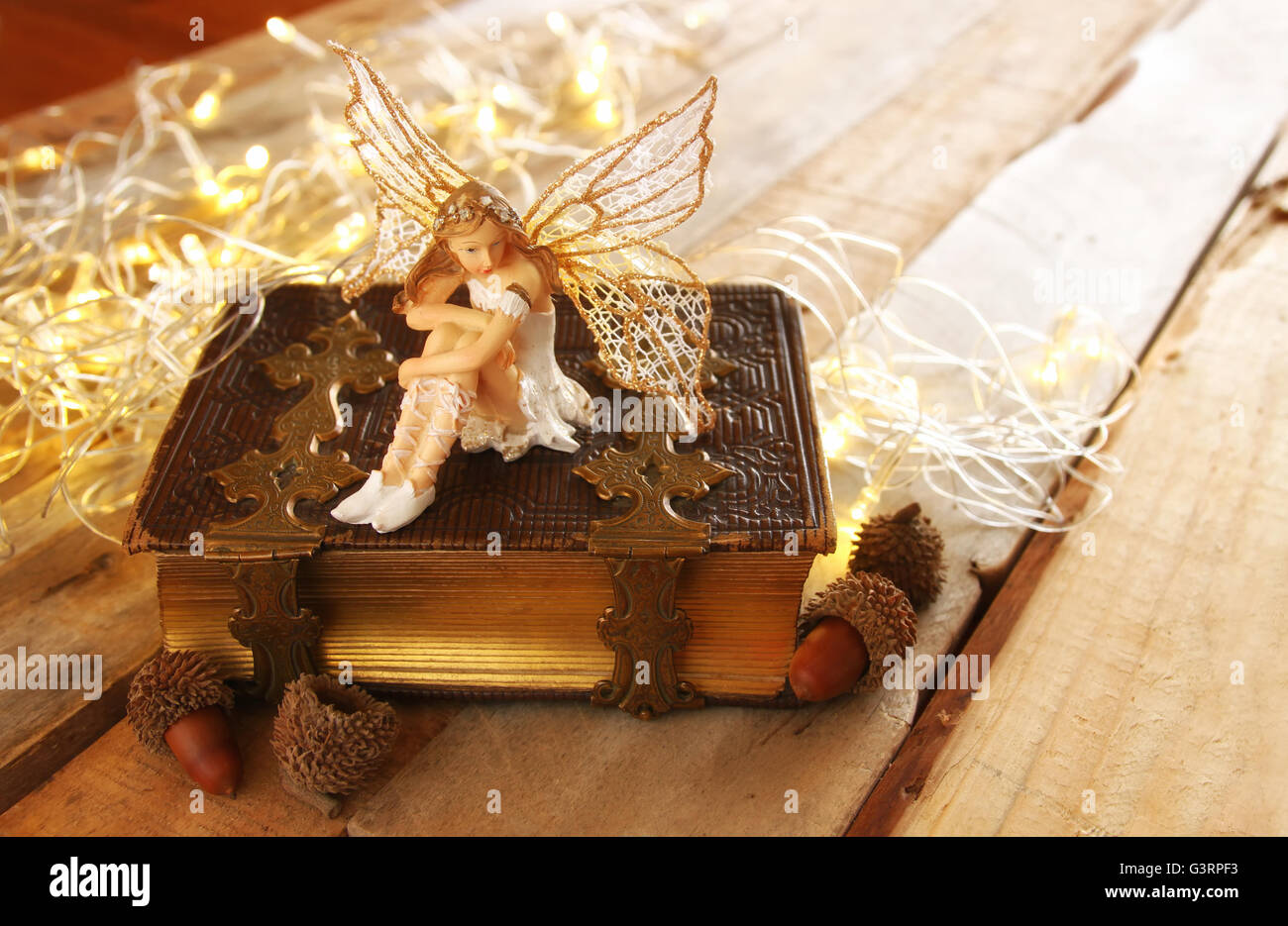 image of magical little fairy in the forest next to old story book ...