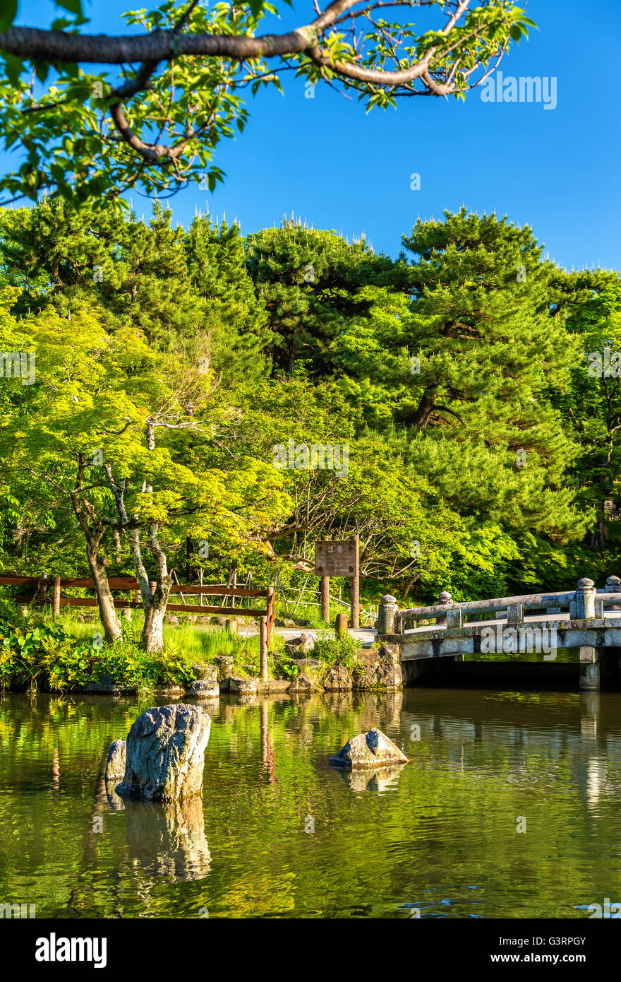 Maruyama Park in Kyoto, Japan Stock Photo - Alamy