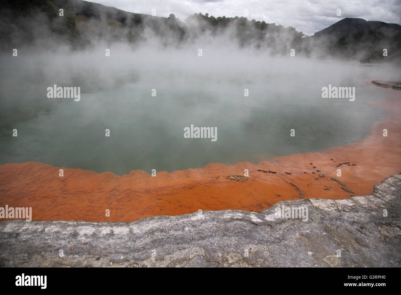 champagne pool in the wai-o-tapu thermal wonderland near rotorua new ...