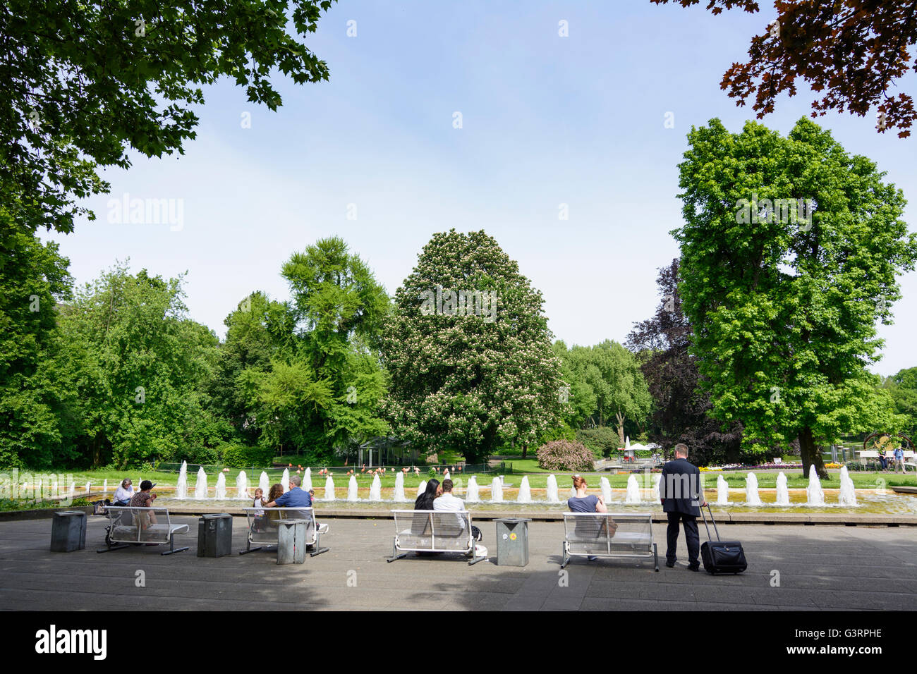 Looking At Zoo, Germany, Baden-Württemberg, Kraichgau-Stromberg ...