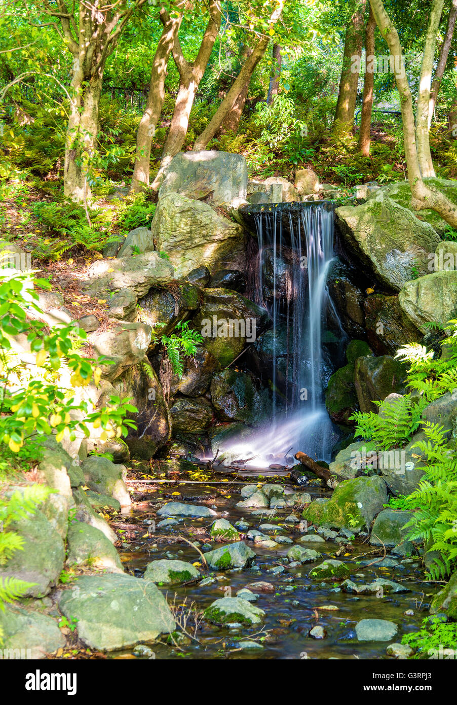 Maruyama tokyo hi-res stock photography and images - Alamy