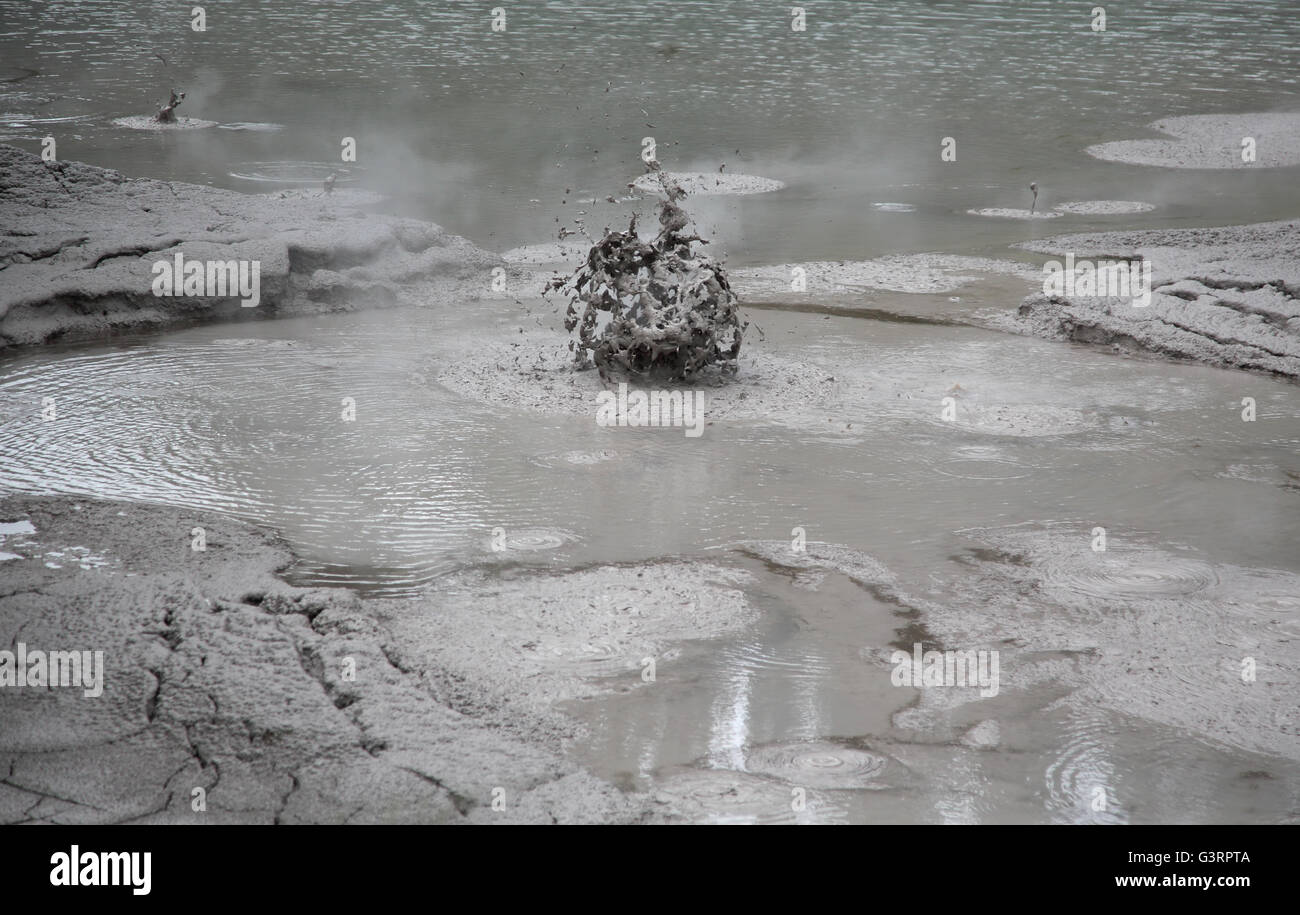 mud pools in the wai-o-tapu thermal wonderland near rotorua new zealand ...