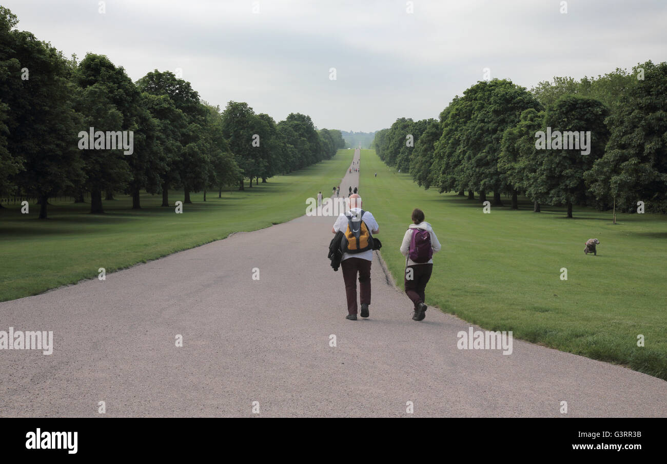 the long walk in windsor great park Stock Photo - Alamy