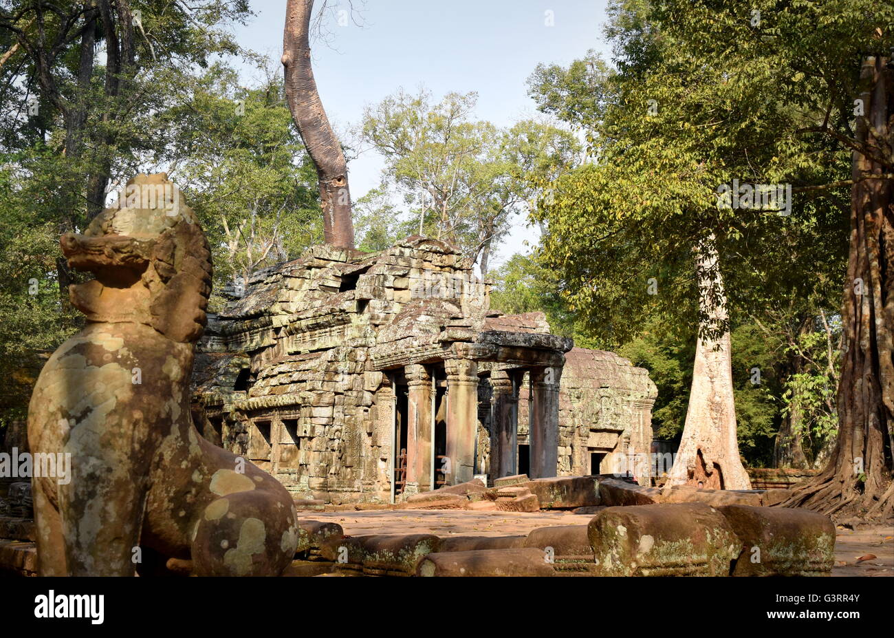 Ta Prohm ancient Buddhist temple ruins in the forest - Cambodia Stock ...