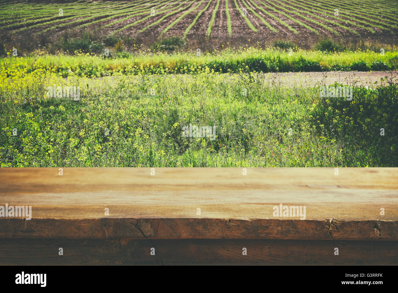 front rustic wood boards and agriculture field background. vintage ...