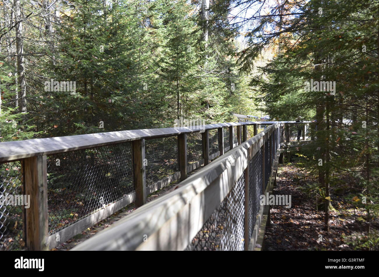 Walkway at Bond Falls in Paulding, Michigan Stock Photo - Alamy