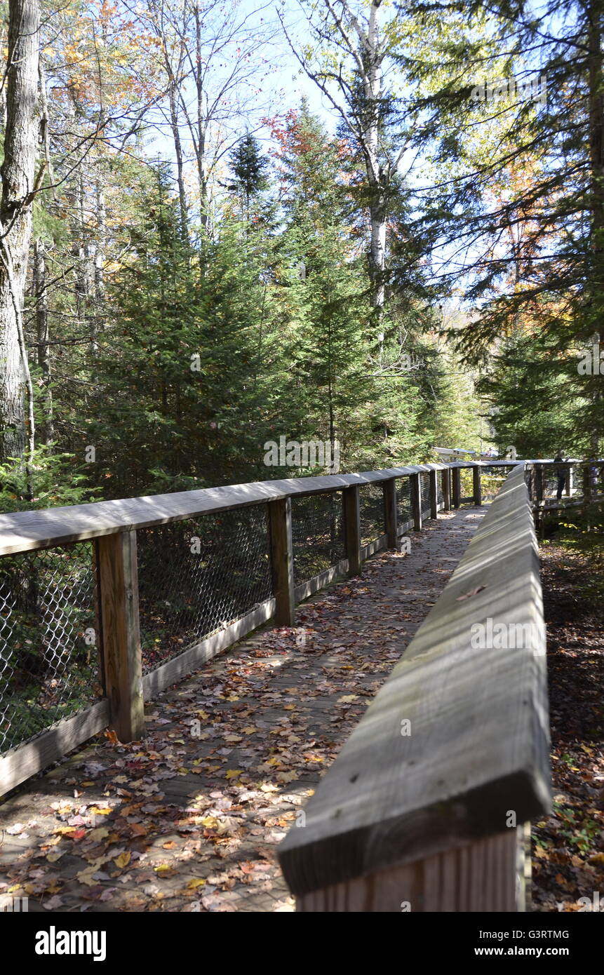 Walkway at Bond Falls in Paulding, Michigan Stock Photo - Alamy