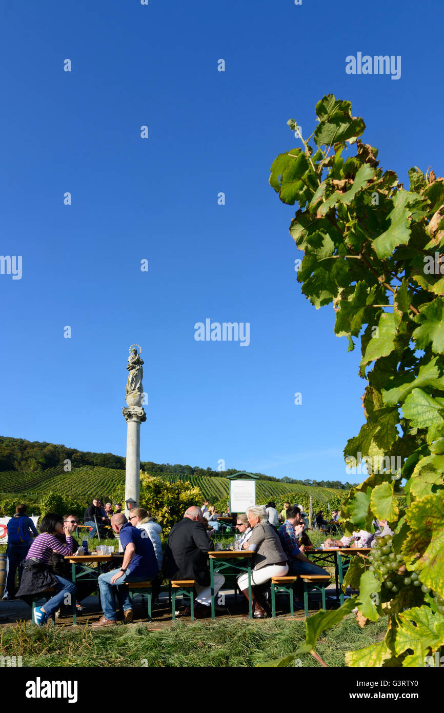 Neustift hi-res stock photography and images - Alamy
