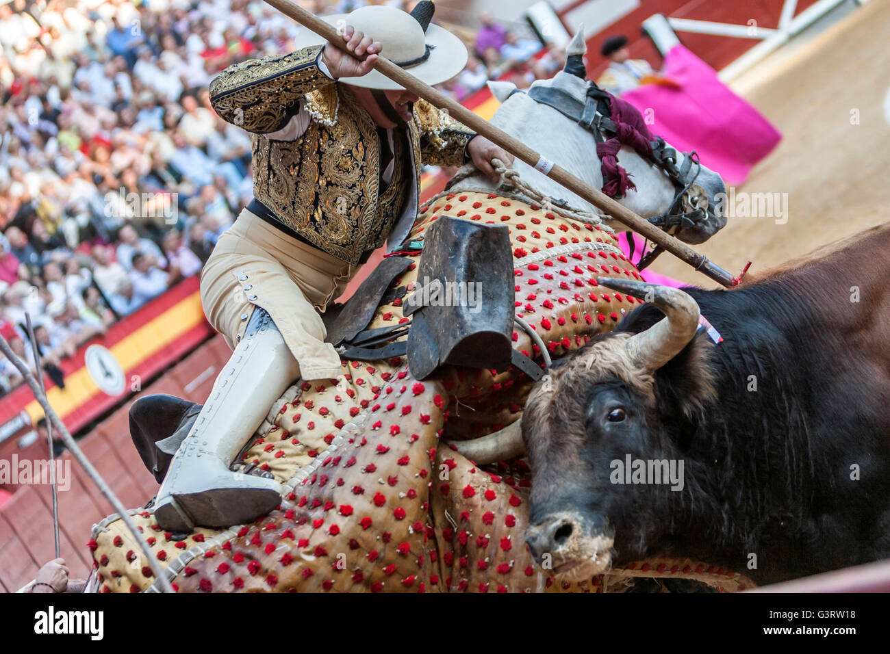 Picador bullfighter, lancer whose job it is to weaken bull's neck ...
