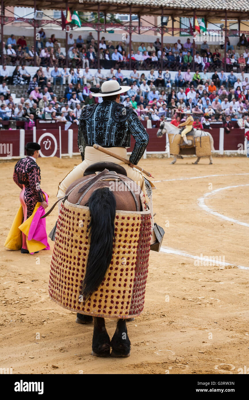 Picador bullfighter, lancer whose job it is to weaken bull's neck ...