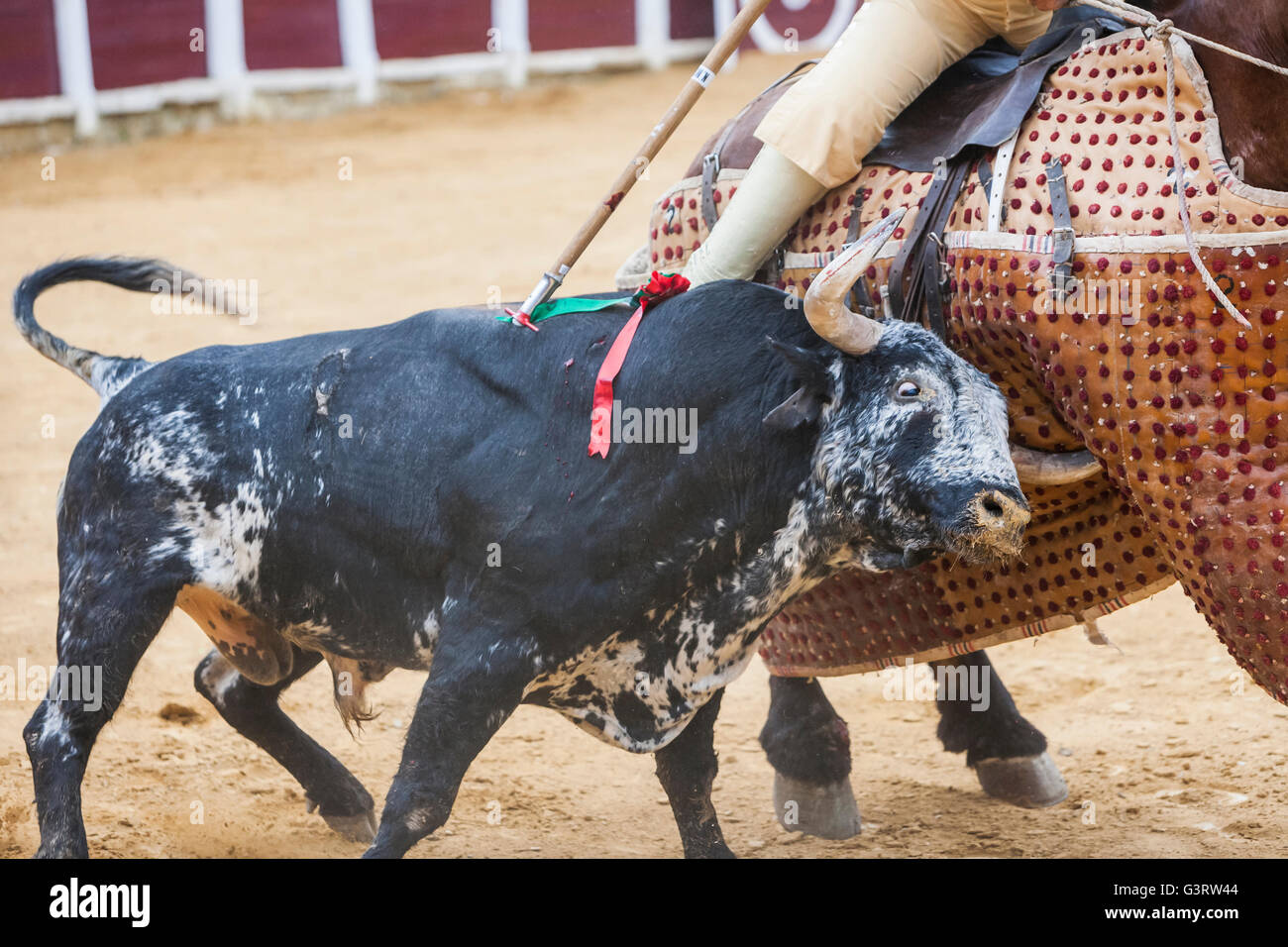 Weaken muscles hi-res stock photography and images - Alamy