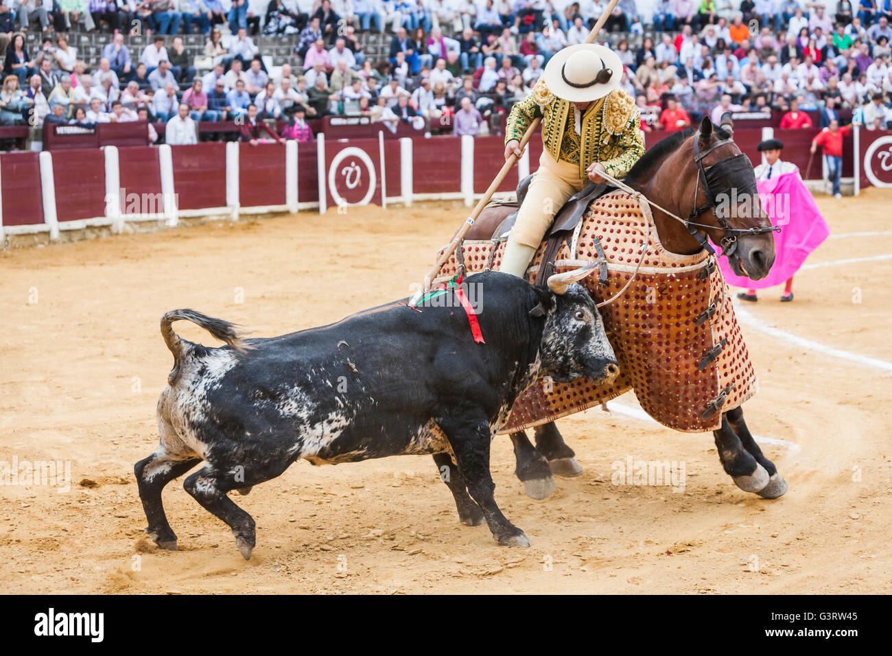 Picador bullfighter, lancer whose job it is to weaken bull's neck ...