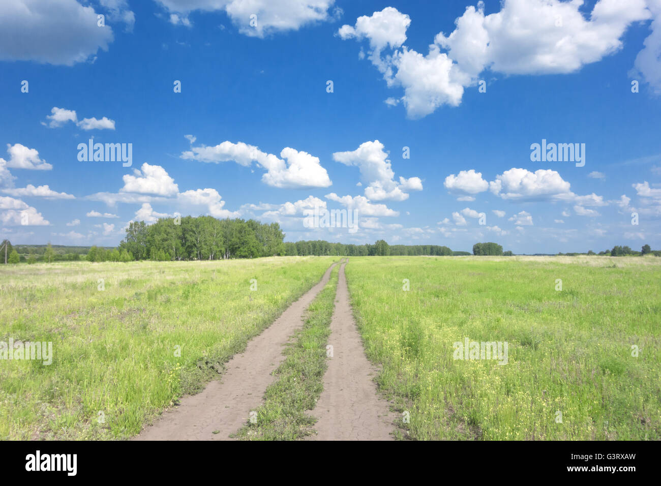 beautiful summer landscape with road and blue sky Stock Photo - Alamy