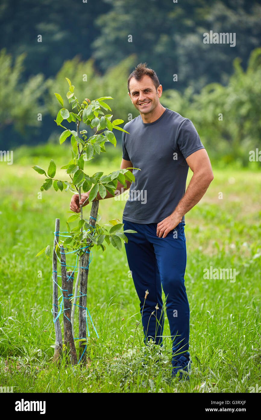 Mature walnut trees hi-res stock photography and images - Alamy