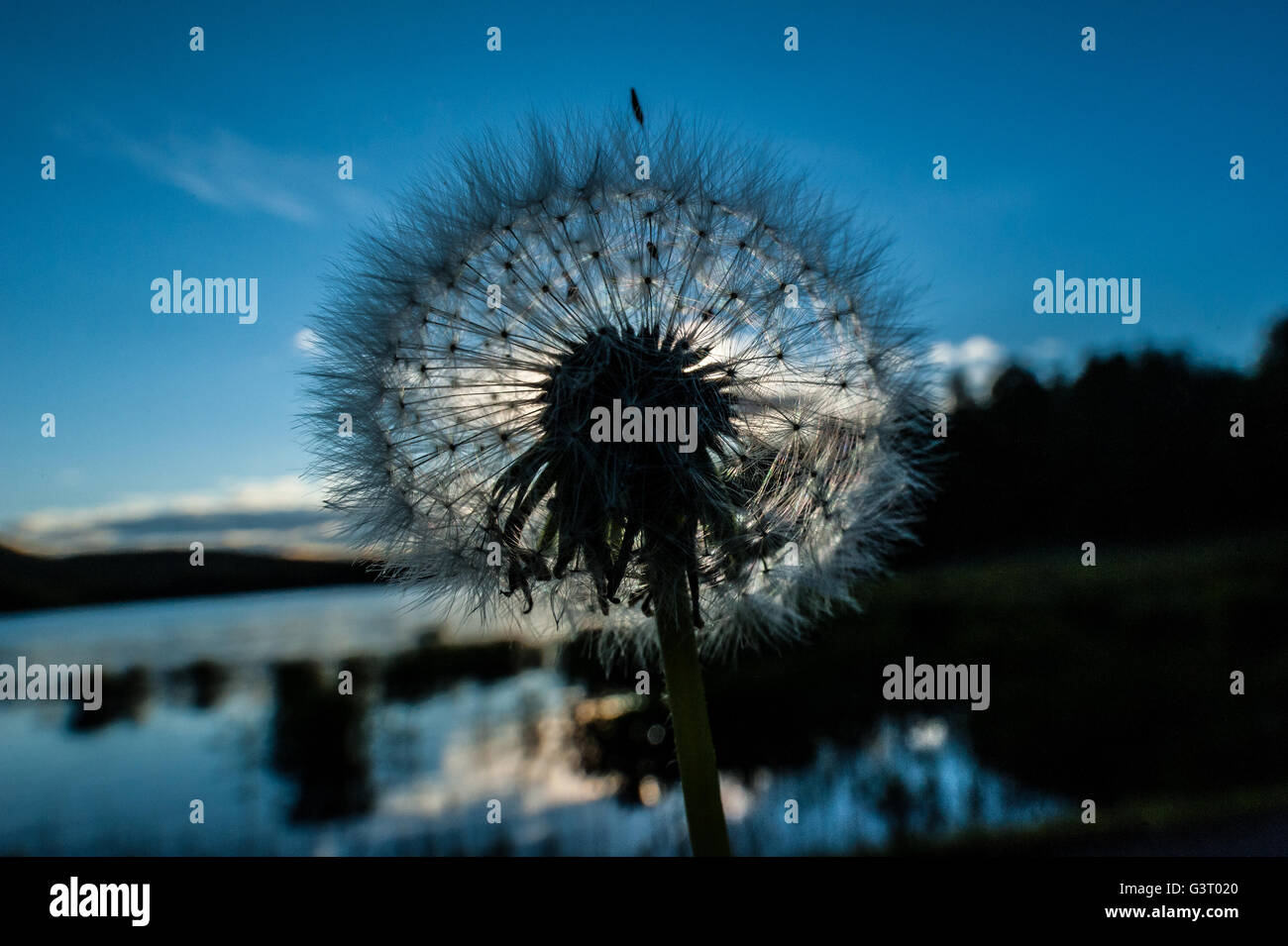 Dreaming photo hi-res stock photography and images - Alamy