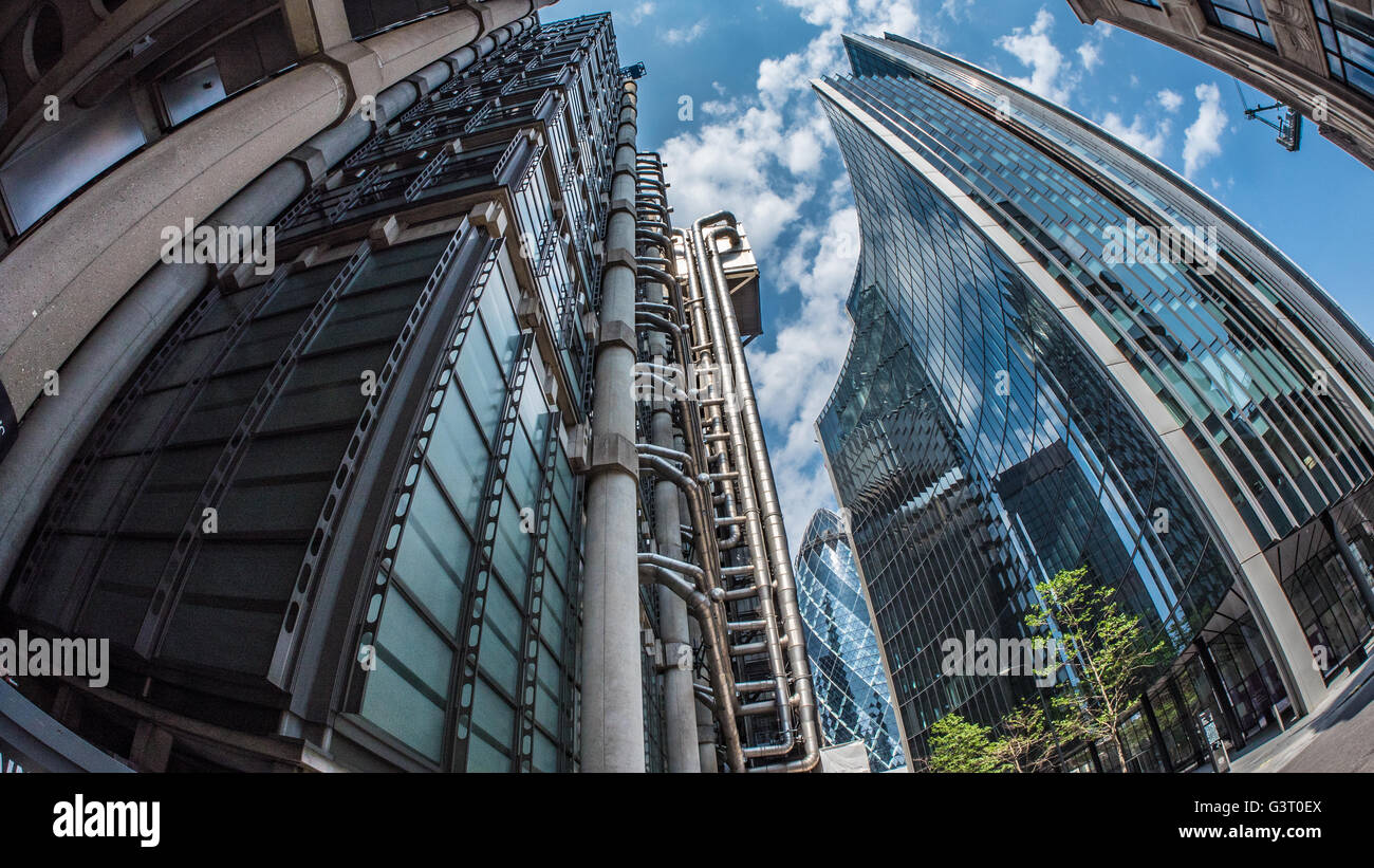 Tall fish hi-res stock photography and images - Alamy