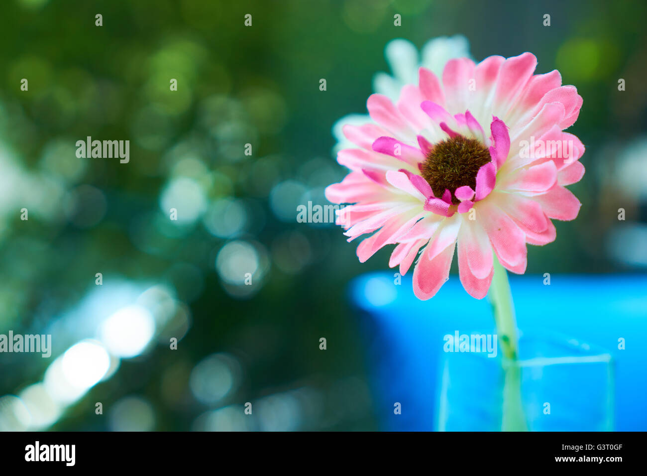 Beautiful pink flowers in vase Stock Photo - Alamy