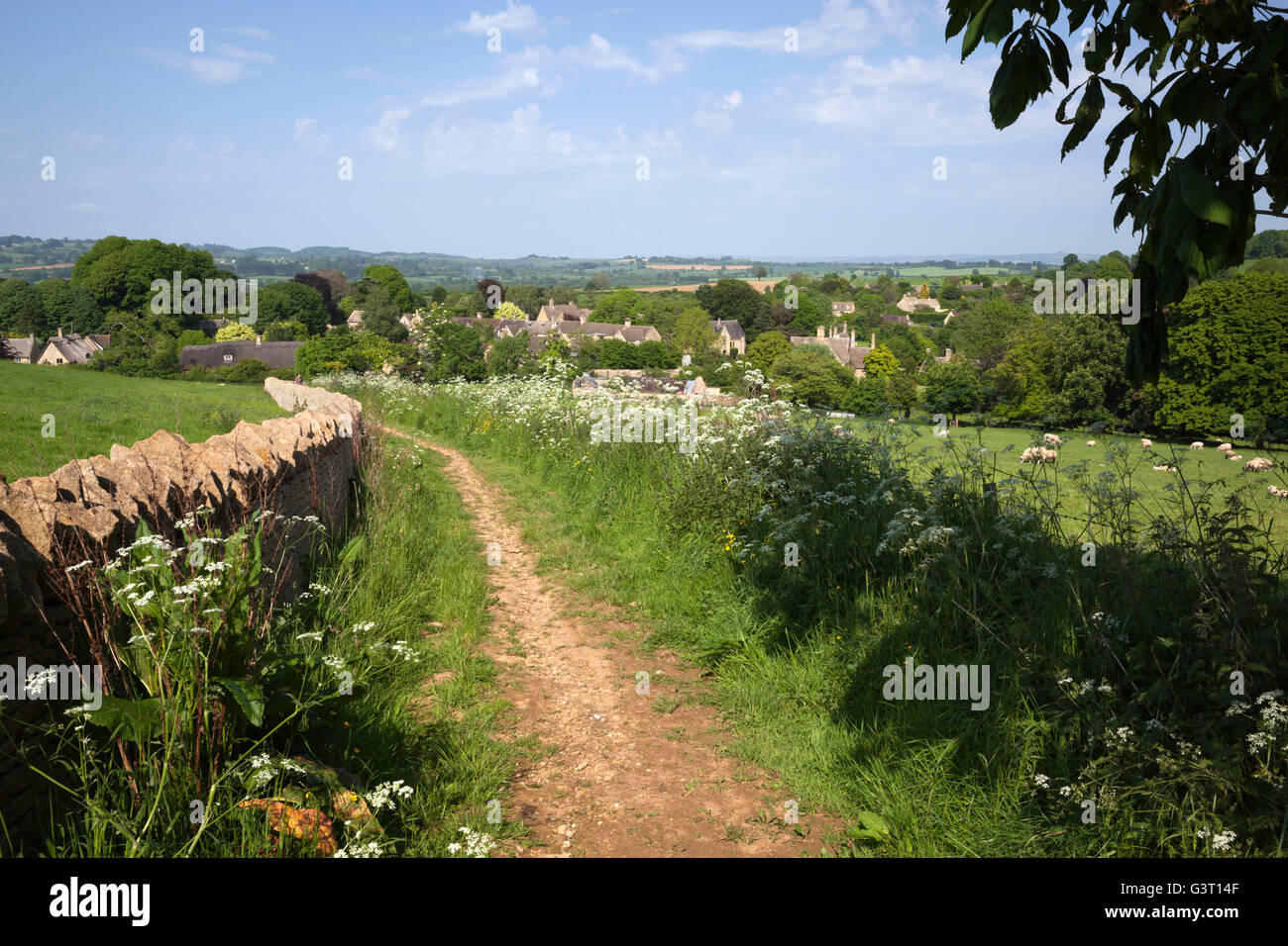 Cow Parsley lined path with view over Cotswold village, Broad Campden ...