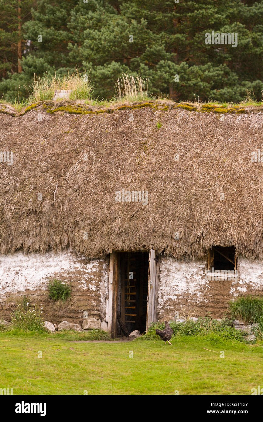 KINGUSSIE & NEWTONMORE, SCOTLAND - Traditional building of turf and ...
