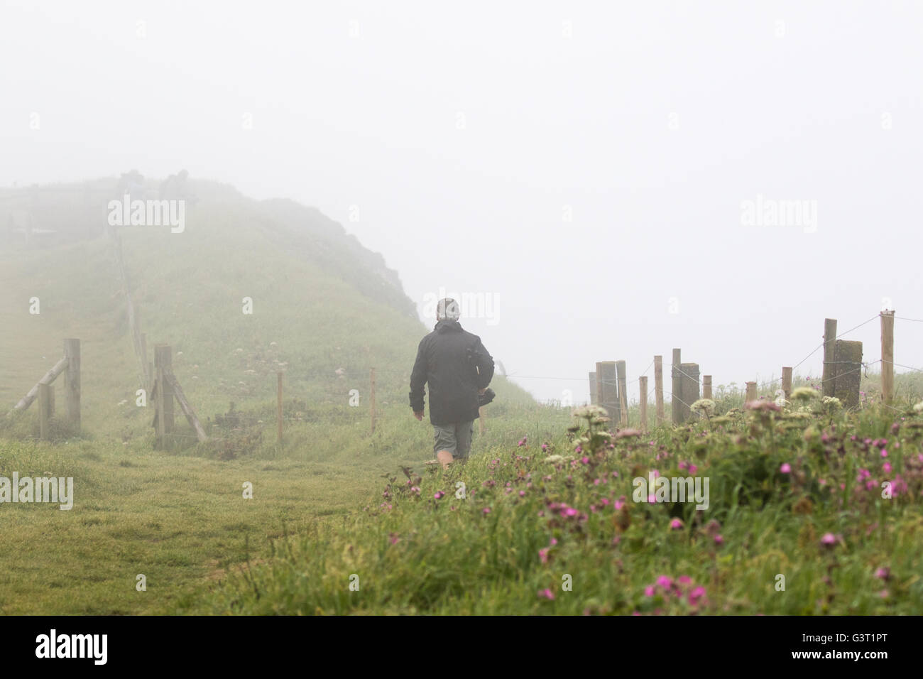 Birdwatching Man walking into the fog at Bempton Cliffs Nature Reserve ...