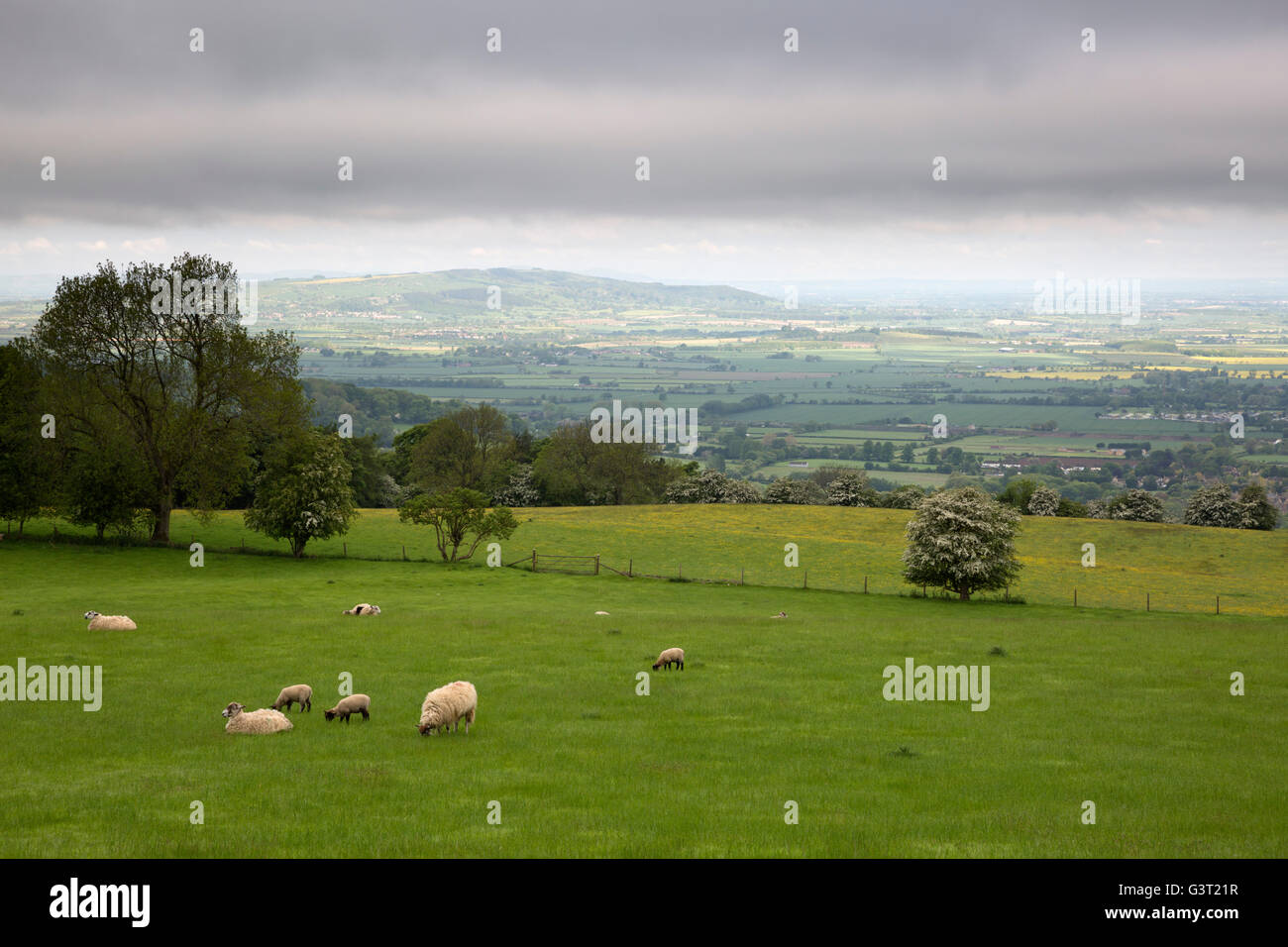 View over the Vale of Evesham from Broadway Tower Country Park ...
