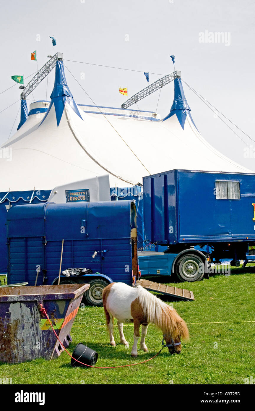 Circus ireland hi-res stock photography and images - Alamy