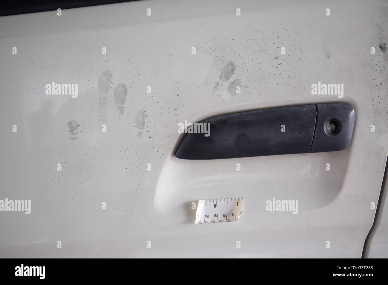 latent fingerprint on vehicle door in crime sccene investigation Stock ...