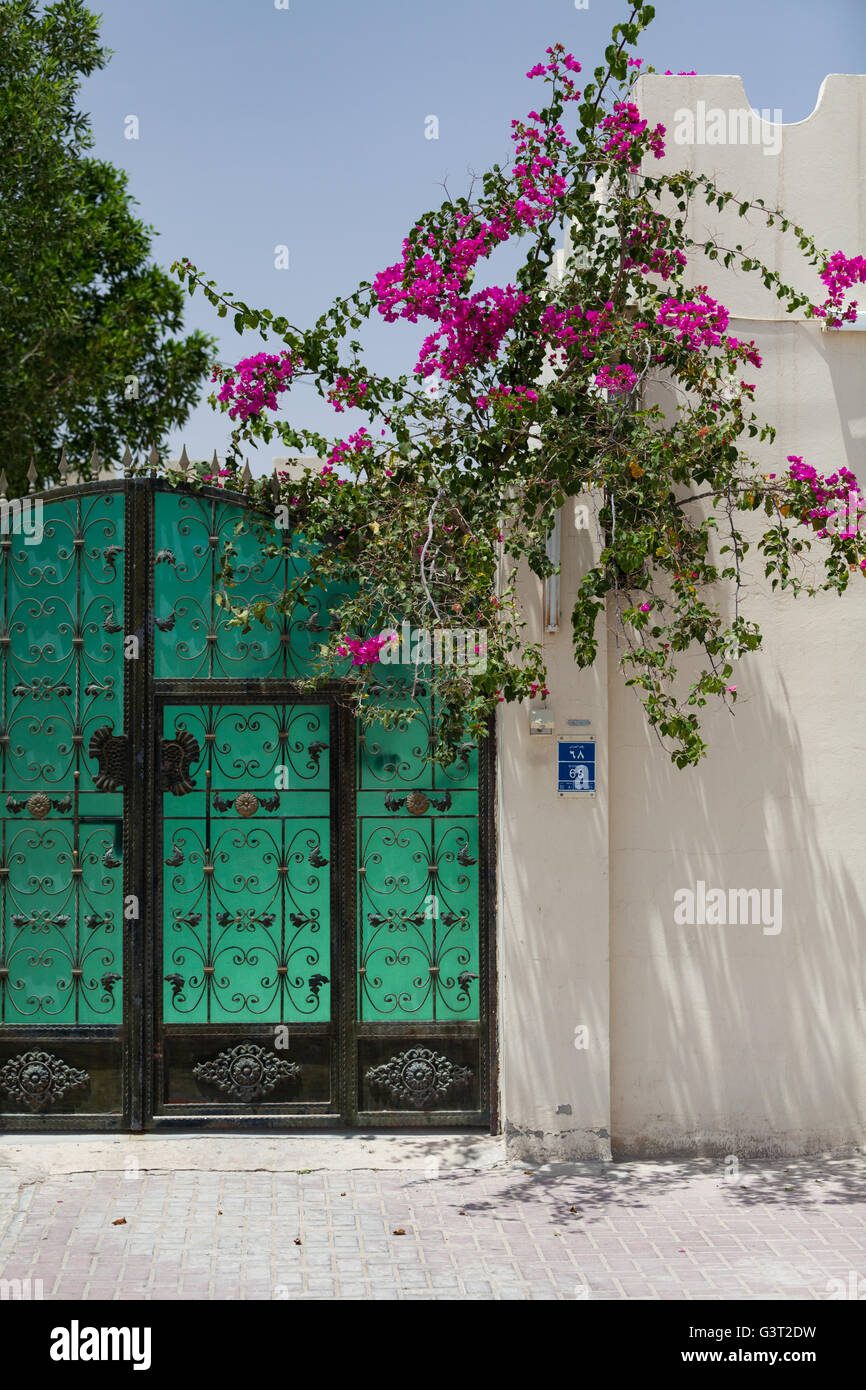 gates to a property at camel city at the Camel Racetrack, Al-Shahaniya ...