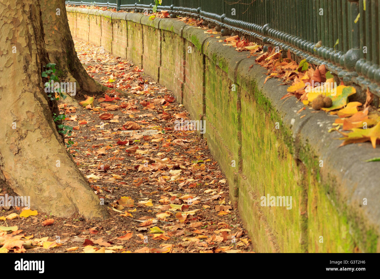 a romantic landscape with warm colours of fall Stock Photo - Alamy