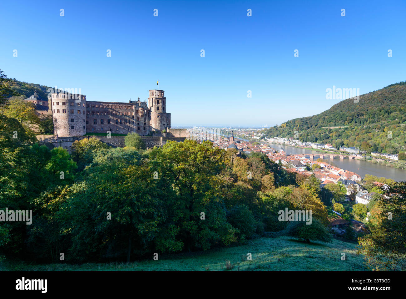 View from the terrace Scheffelterrasse on the Neckar , Castle and Old ...