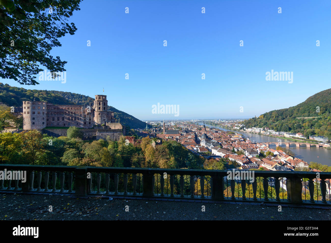 View from the terrace Scheffelterrasse on the Neckar , Castle and Old ...