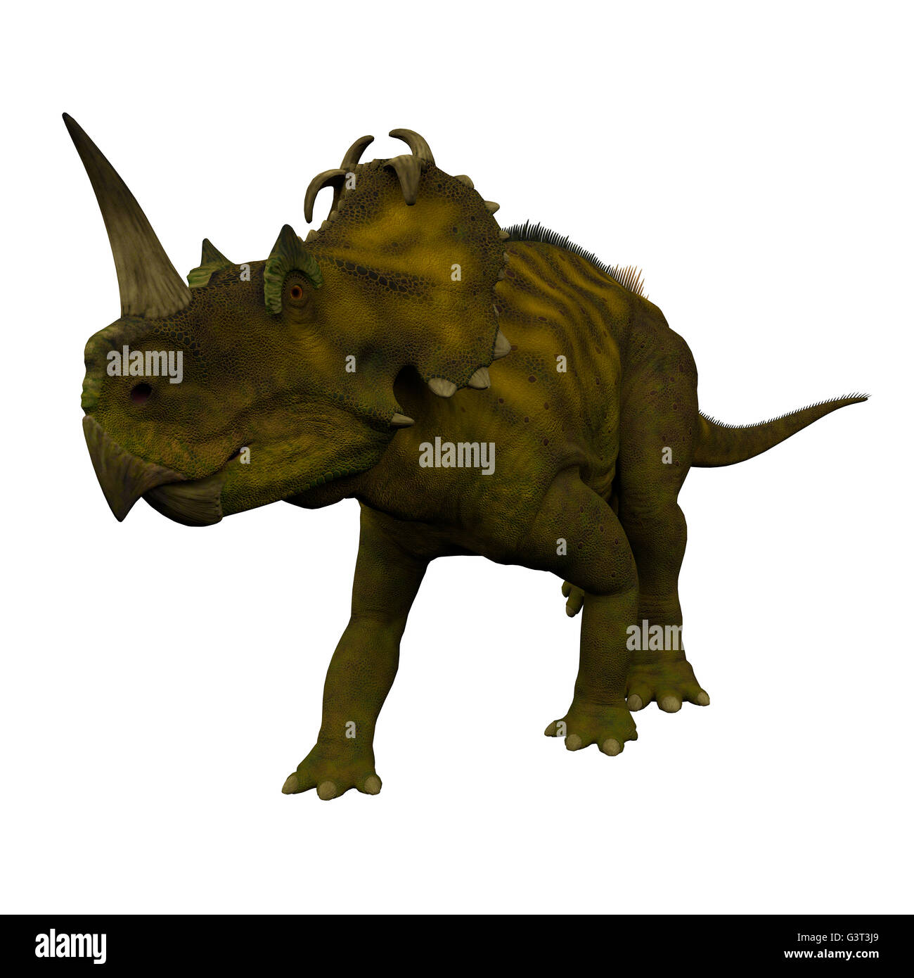 Centrosaurus was a herbivorous ceratopsid dinosaur that lived in Canada ...