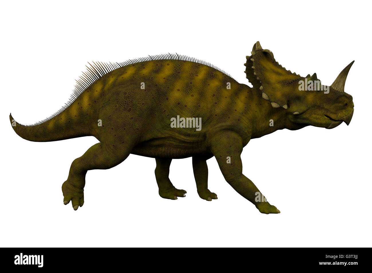 Centrosaurus was a herbivorous ceratopsid dinosaur that lived in Canada ...