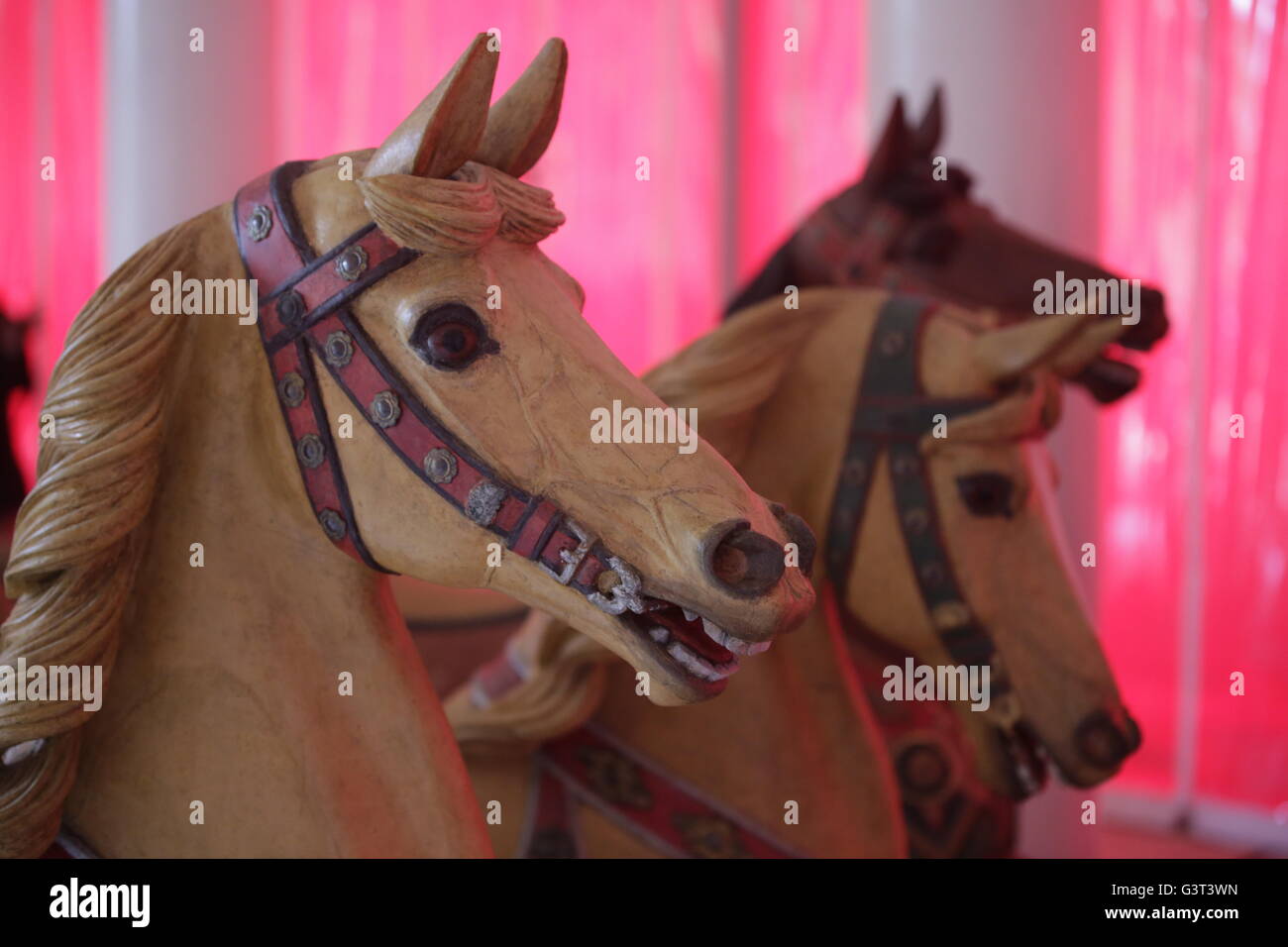 Hanau, Germany. 14th June, 2016. The freshly restored carousel horses ...