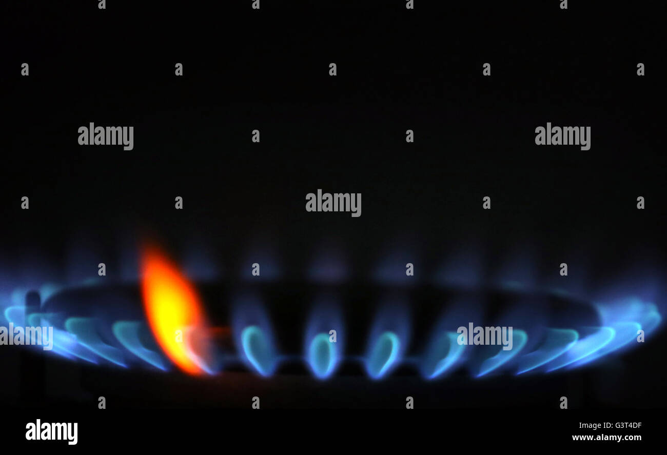 ILLUSTRATION - Gas flames burning on a stove in Wuerzburg, Germany, 13 ...