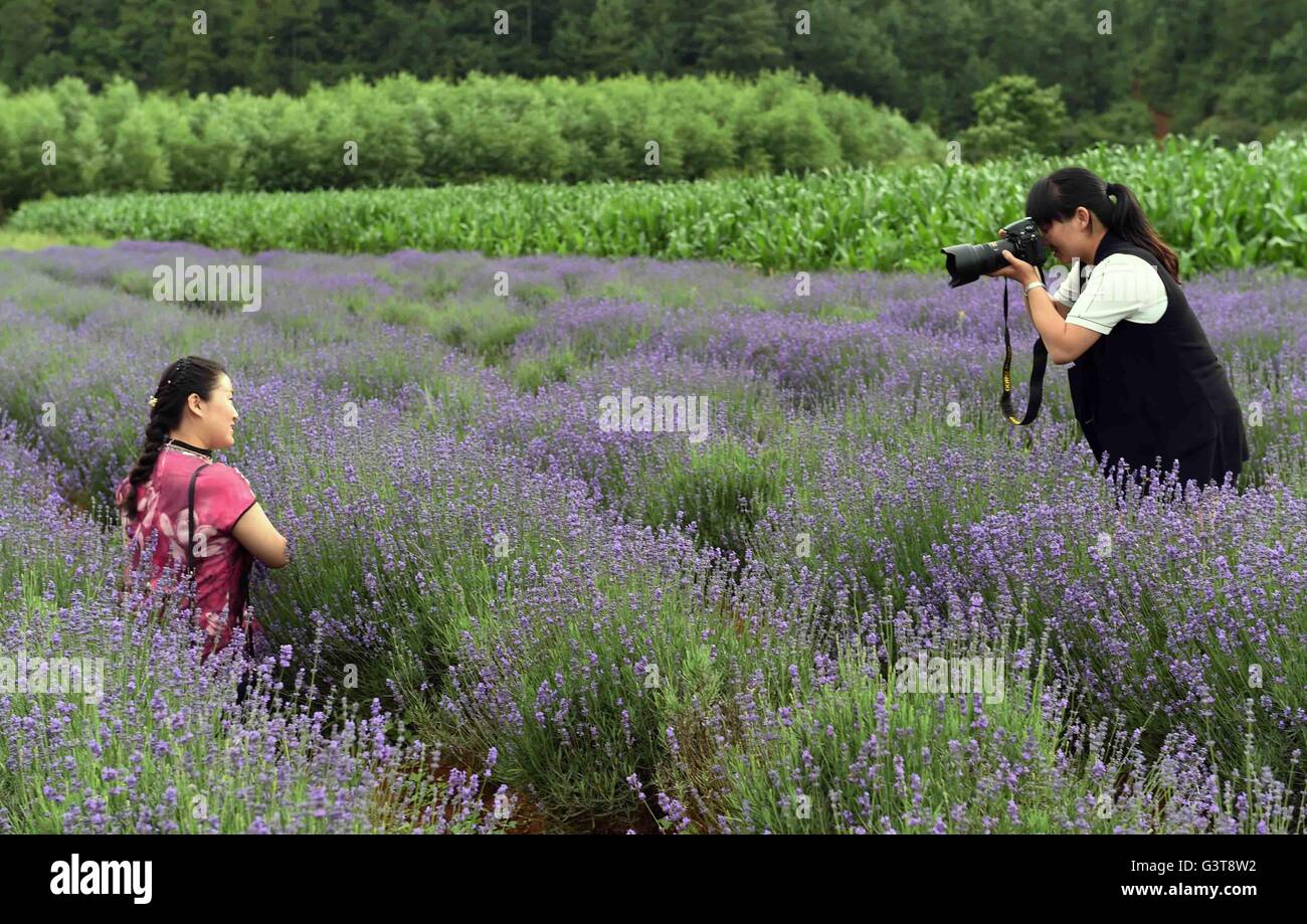 Xuanwei, China's Yunnan Province. 14th June, 2016. A tourist poses for ...