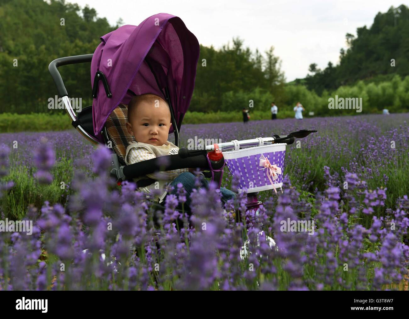 Xuanwei, China's Yunnan Province. 14th June, 2016. A kid is seen in a ...