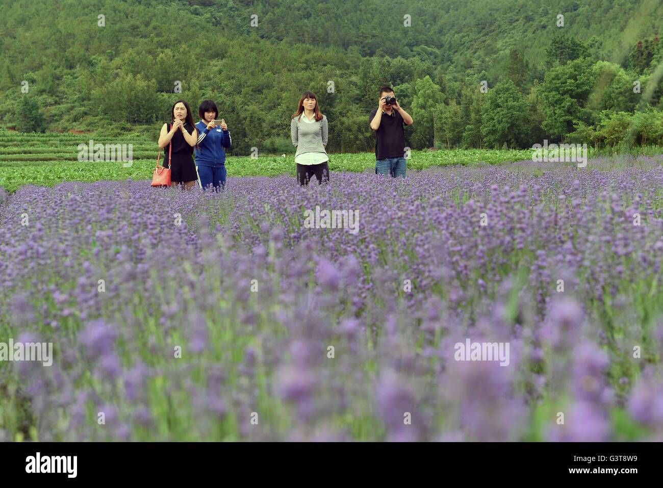Xuanwei, China's Yunnan Province. 14th June, 2016. Tourists take photos ...