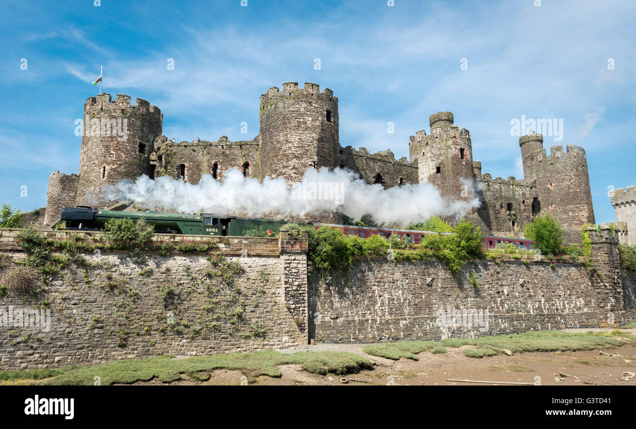 Conwy castle train hi-res stock photography and images - Alamy