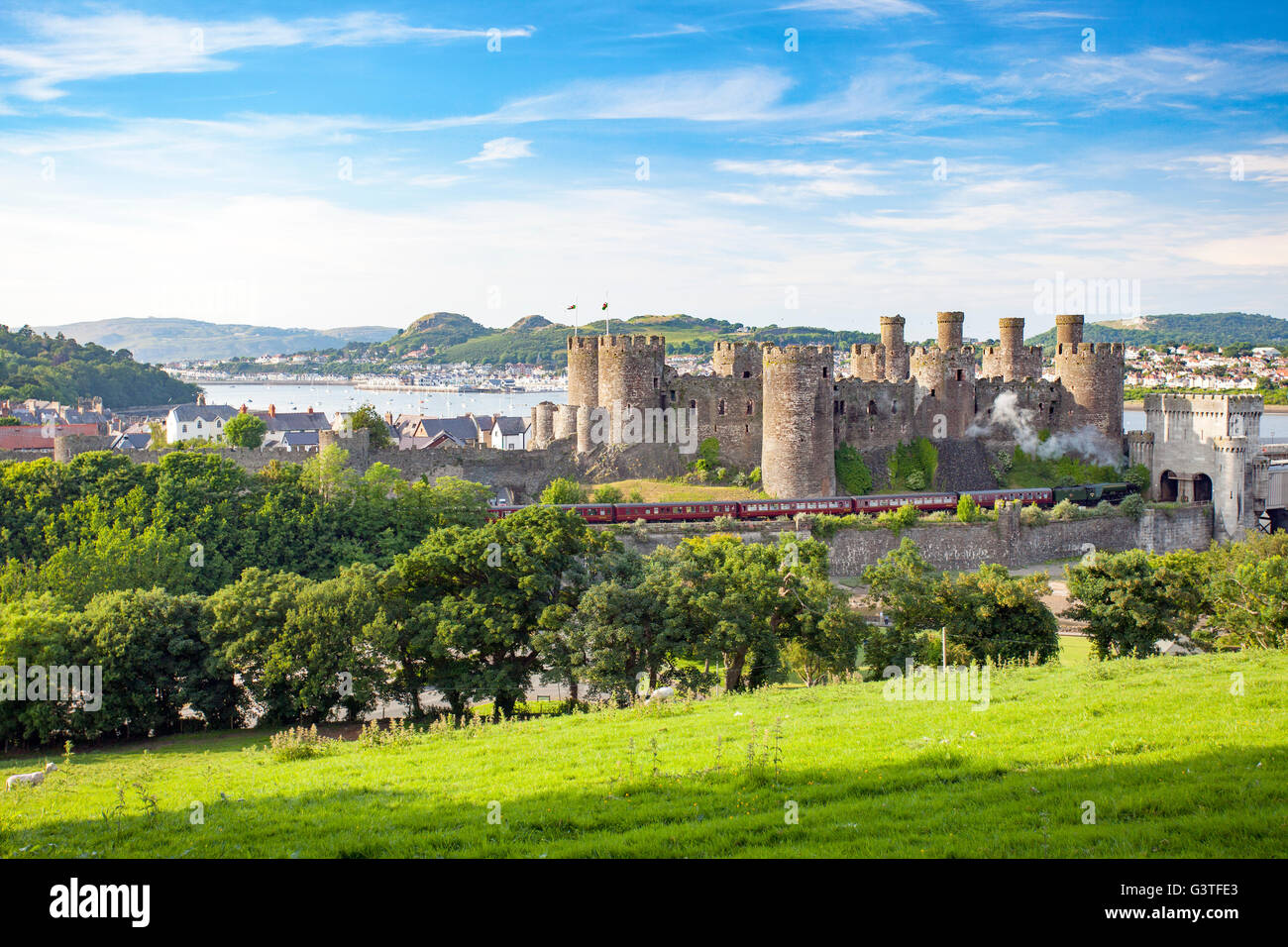 The Flying Scotsman Steam Train passing the medieval fortress of Conwy ...