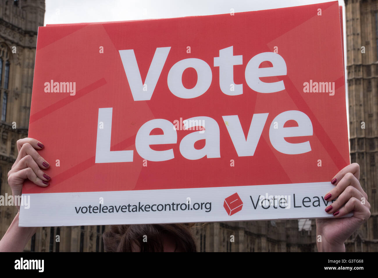 London, UK. 15th June, 2016., vote leave protester on Westminster ...