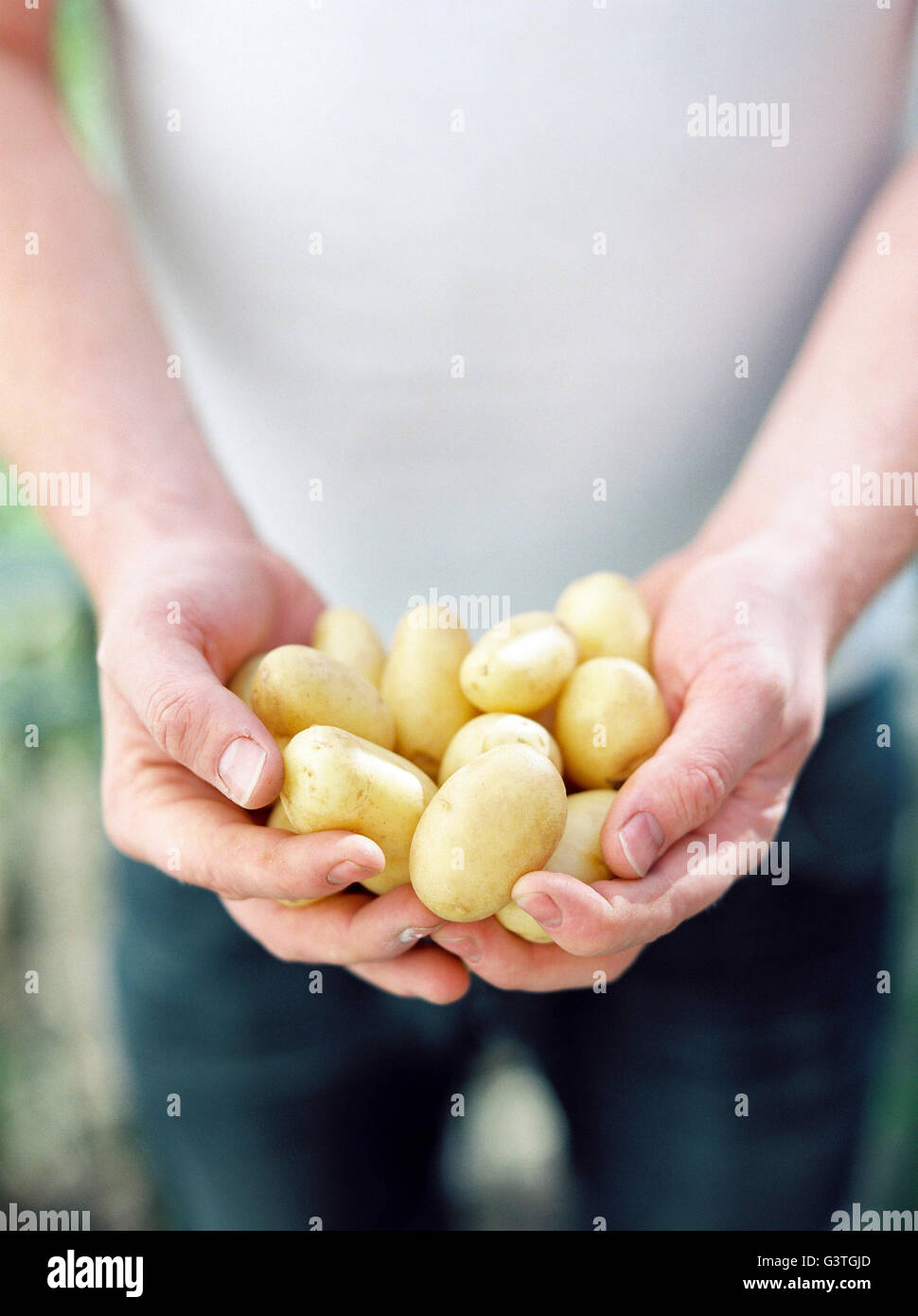Front potatoes hi-res stock photography and images - Alamy