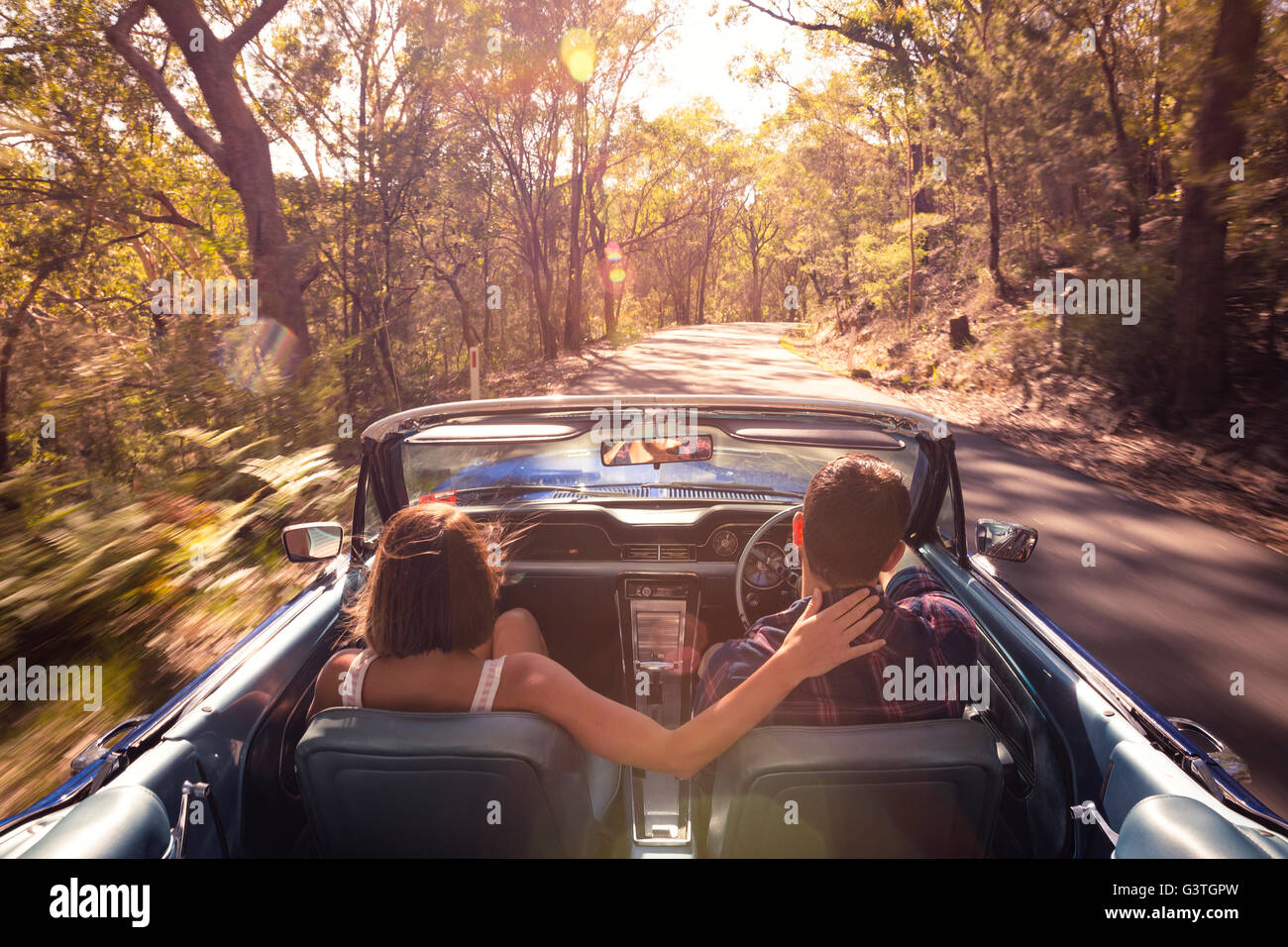 Car driving through forest hi-res stock photography and images - Alamy