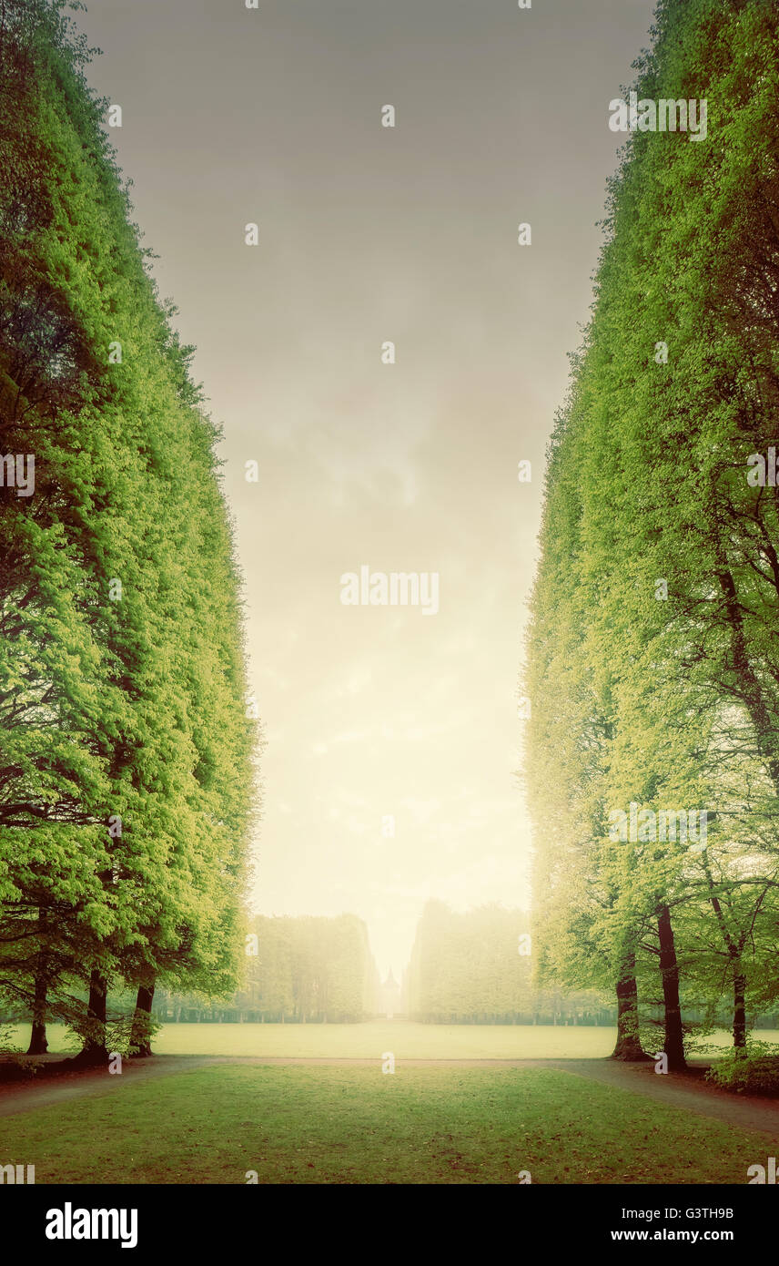 Sweden, Skane, Malmo, Park in morning light Stock Photo - Alamy