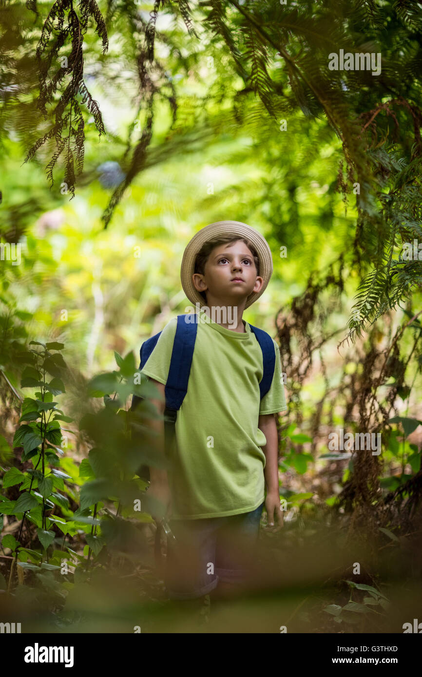Boy standing in forest Stock Photo - Alamy