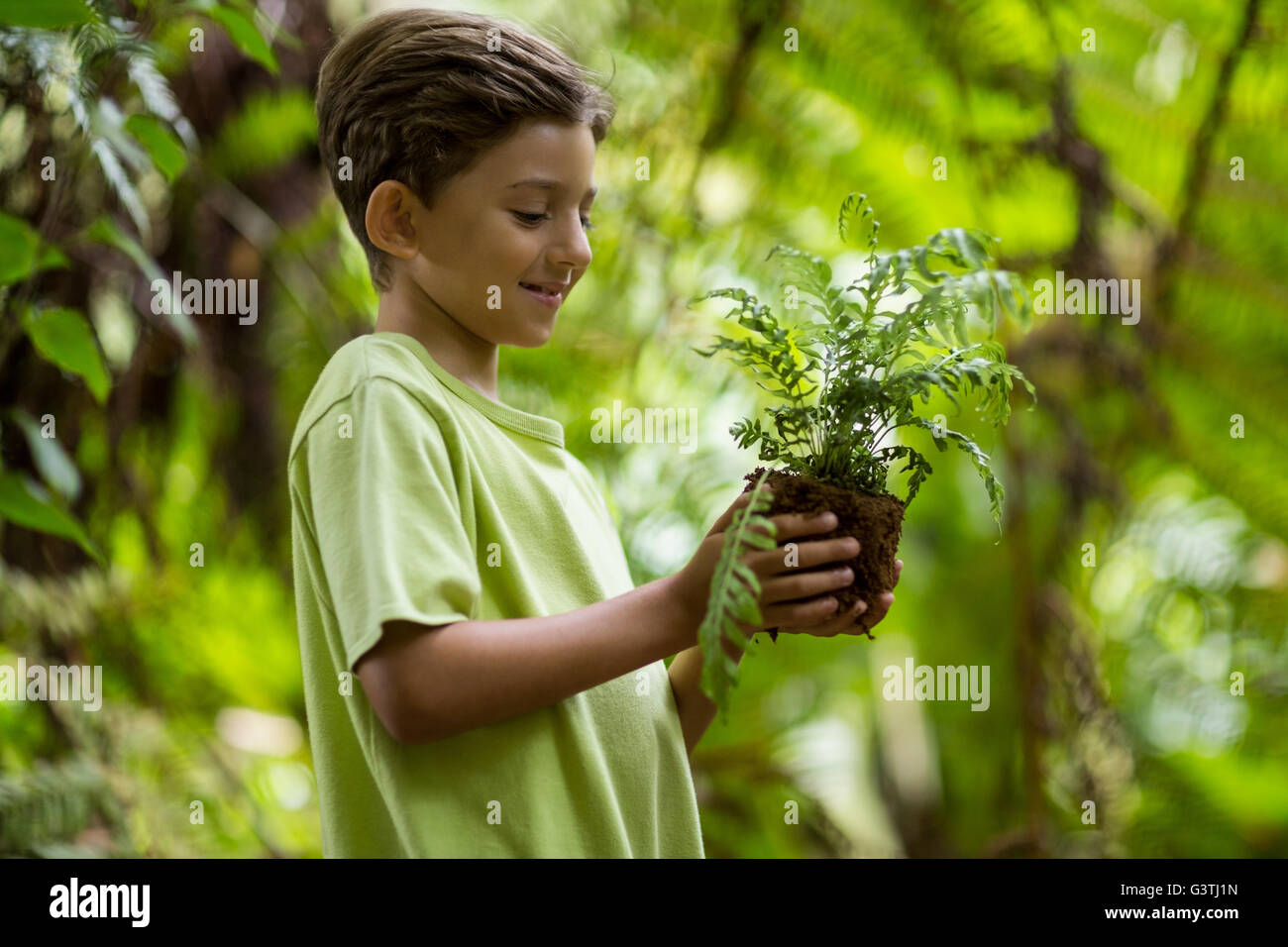 Boy holding sapling plant Stock Photo - Alamy