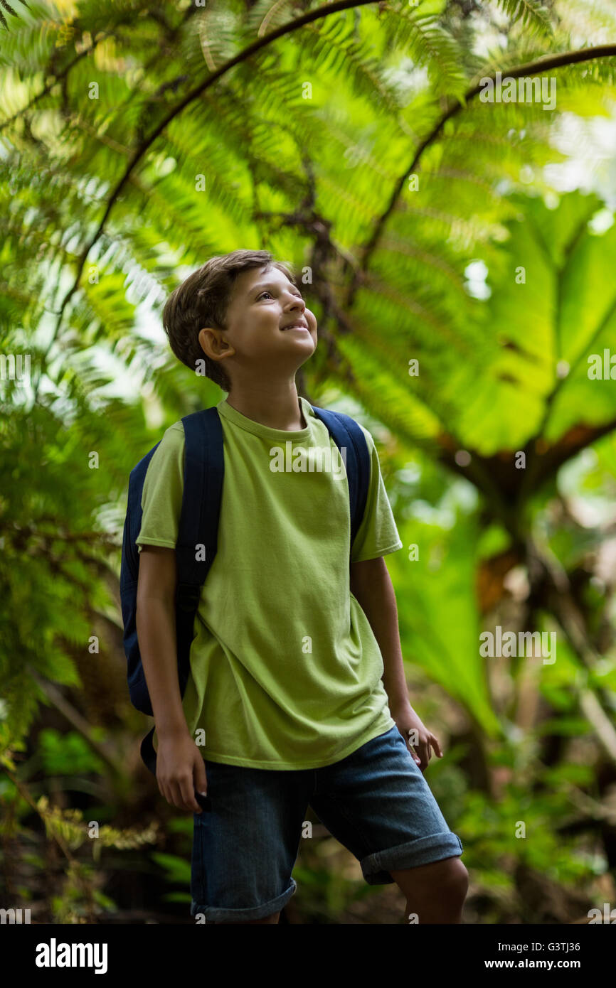 Boy standing in forest Stock Photo - Alamy